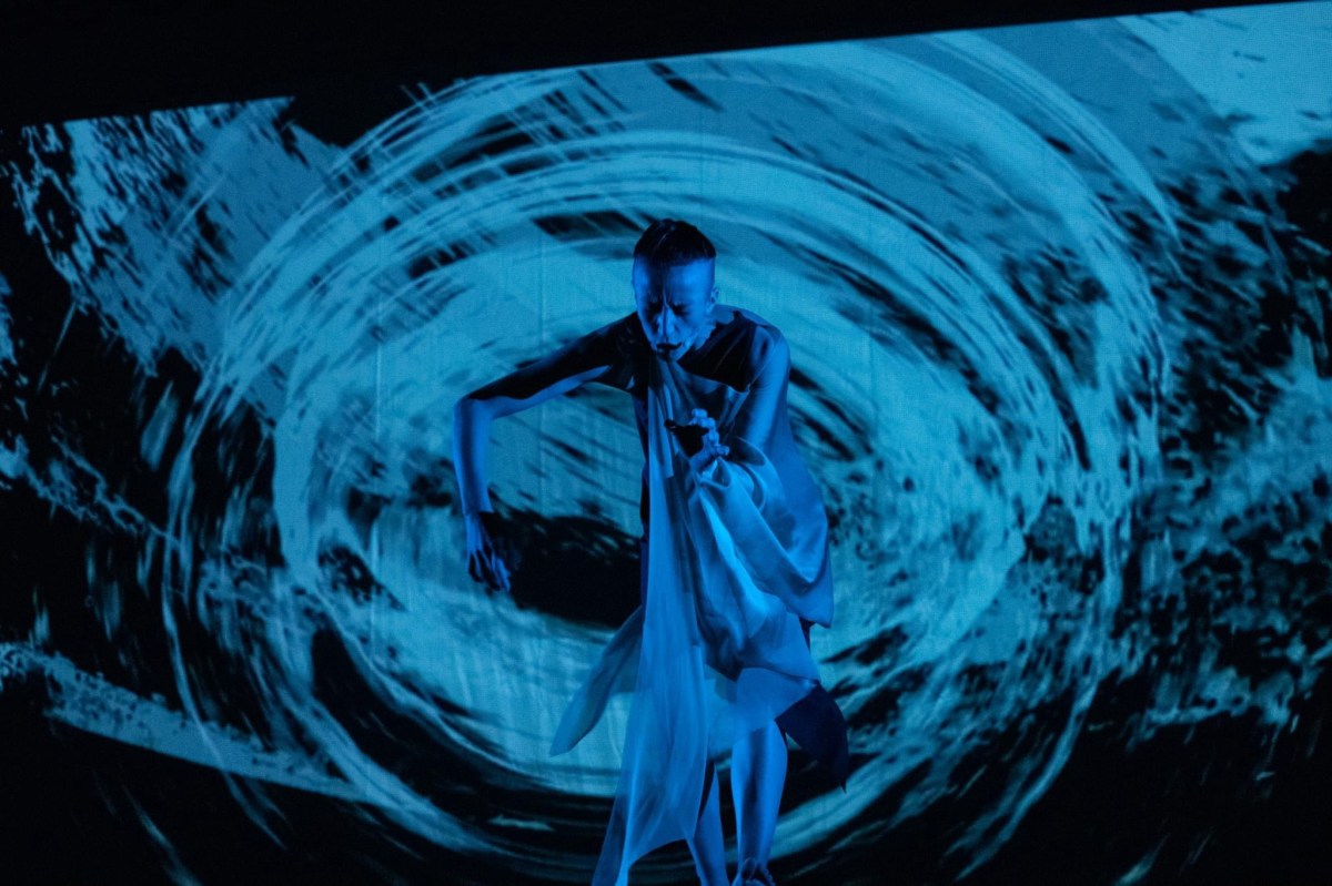 :Son Fauces. El ciclo de las metamorfosis de Sarmen Almond en el Museo ...